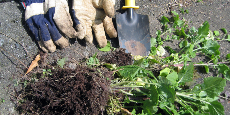 How to Use Root Cause Analysis to Get to the Root of Your Problems ...